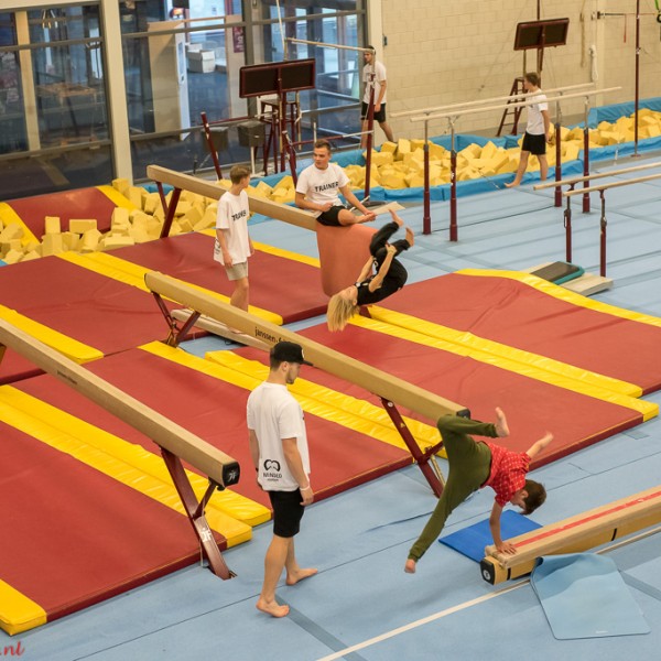 Minded Motion - Minded Motion Events